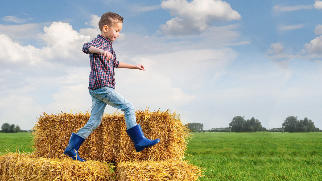 DE HEUS OVS PLATFORM